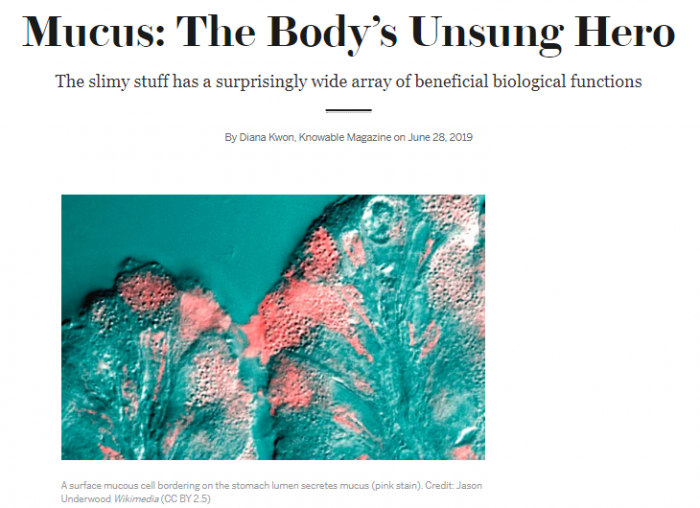 Media - The Ribbeck Lab